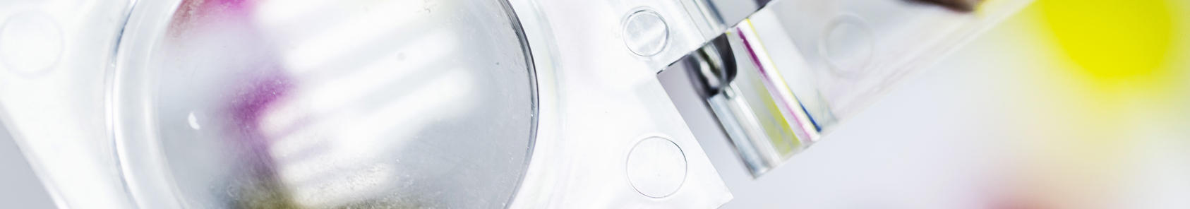 All Services at a Glance | Printcolor